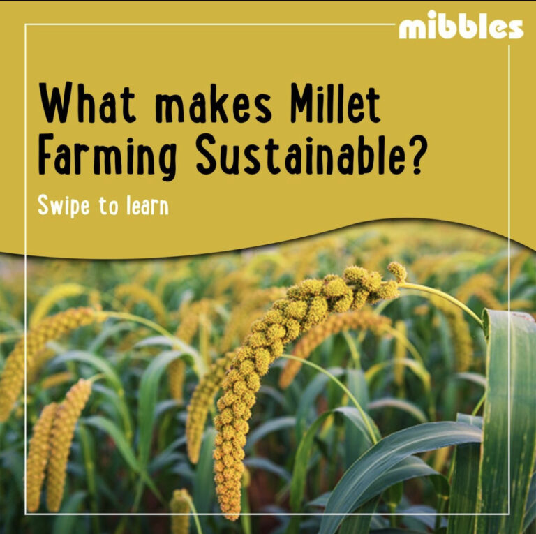 The Ancient Marvel: A Glimpse into the History of Millets in India ...