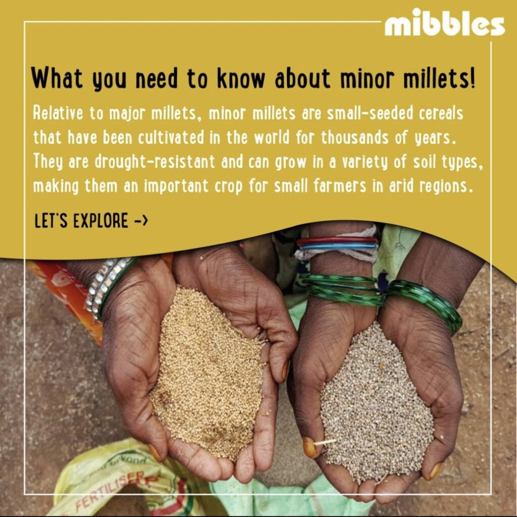 What you need to know about minor millets! - Mibbles
